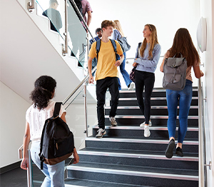 Información Familias Vallmont – Colegio Bilingüe Vallmont